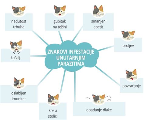 Crijevne Gliste I Trakavice Od Uha Do Repa