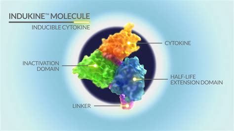 Predator Platform Technology Animation Xvivo