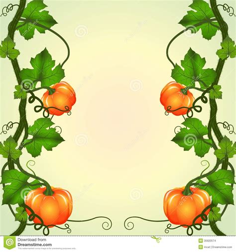 Squash Vine Clipart 20 Free Cliparts Download Images On Clipground 2024