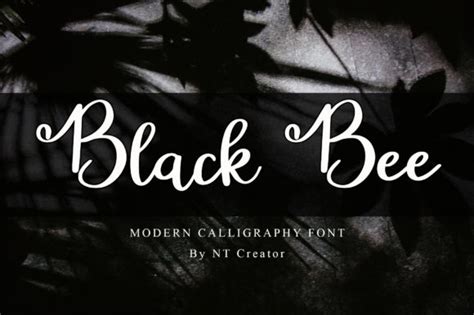 Black Bee Font Font Canyon