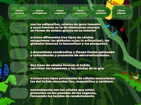 Las Celulas Animales Match Up