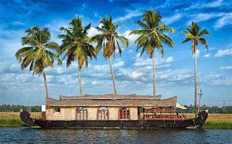 5600 Remansos De Kerala Fotos Fotografías De Stock Fotos E Imágenes