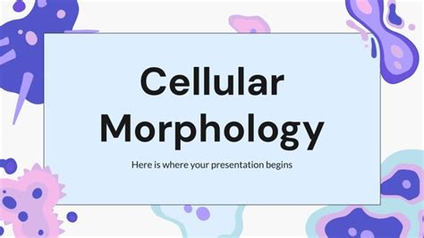 Cellular Morphology Presentation