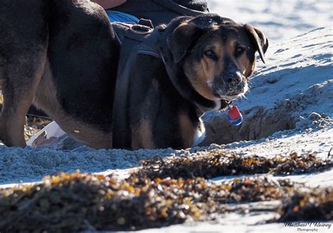 Michelle Simoneau On Linkedin Benuck Greatteams