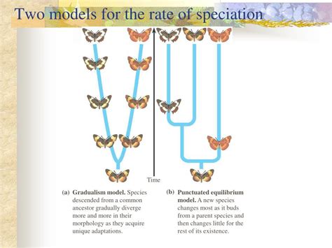 Ppt Evolution Powerpoint Presentation Free Download Id1779638