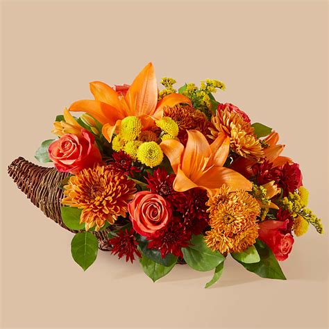 Save Money When Shopping At Proflowers Join Karma For Free