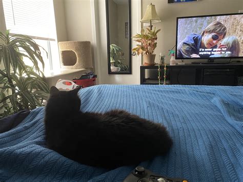 Eleanor Helping Me With The Second Go Around Of Twd Rthewalkingdead