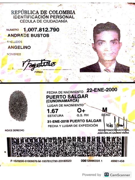 Fotocopia De La Cc Pdf