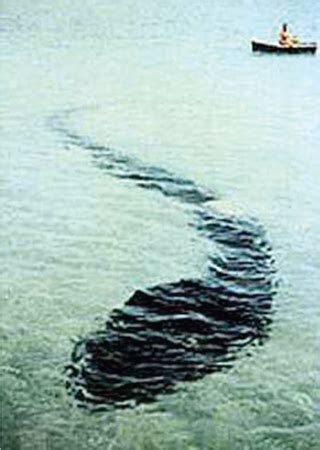 29 Of The Most Famous Alien And Monster Photographs Ever Taken Gemigan