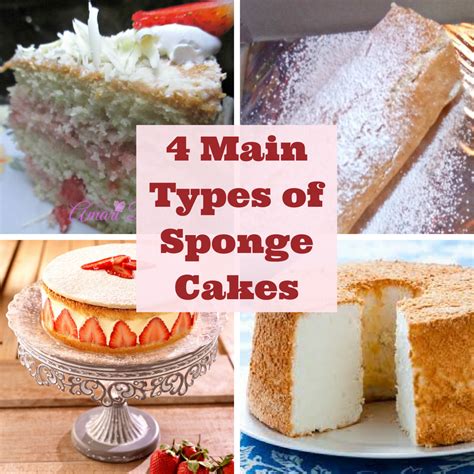 Varieties Of Sponge