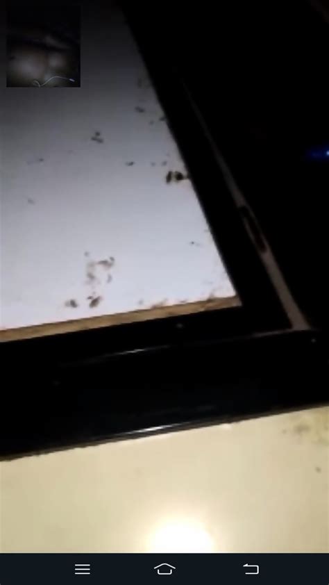 Indian Hot Sexy Muslim Cpl Enjoy With My Big D