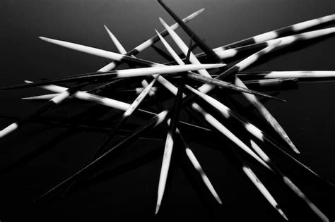 Premium Photo Close Up Of Porcupine Quills