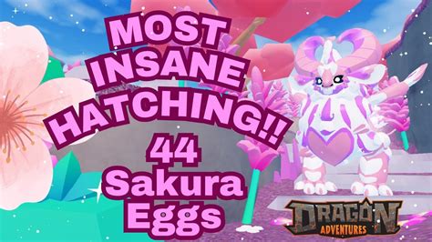 Most Insane Hatching 44 Sakura Eggs Dragon Adventures Roblox