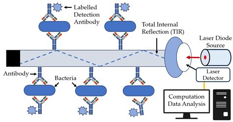 Optical Sensors For Bacterial Detection