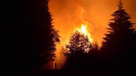 El Drama De Los Incendios En La Patagonia “la Situación Es Angustiante