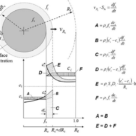 Schematic Of Interfacial Mass And Species Transfer Species Download Scientific Diagram