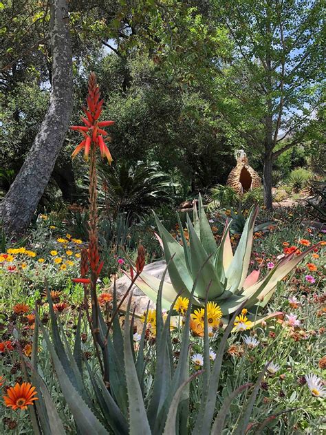 Taft Gardens And Nature Preserve All You Need To Know Before You Go 2025
