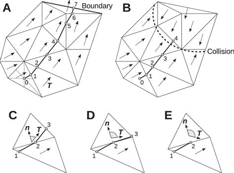 Illustration Of The Lagrangian Approach A Trajectory Following The