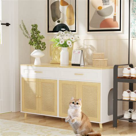 Bayou Breeze Couvertier 47 24 X 17 72 Litter Box Furniture Hidden With Barn Door Cat Litter