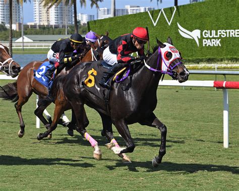 Now Better Behaved Ashima Looks To Return To Winners Circle