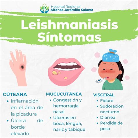 Conoce Los Síntomas De La Leishmaniasis Hospital Regional Alfonso Jaramillo Salazar La