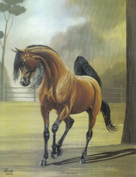 1623 Best Arabian Horse Art Images On Pinterest