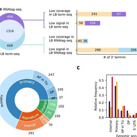 a typical read coverage at 3 termini in rnatag seq data a shown is the