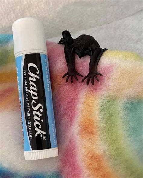 Itty Bitty Bat Pup Booty R Batty