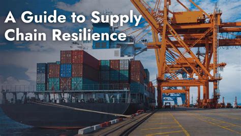 A Guide To Supply Chain Resilience In Ecommerce