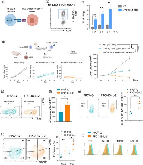 Enhancement Of Antitumor Efficacy Of Ny‐eso‐1 Tcr‐t By Intratumoral Download Scientific Diagram