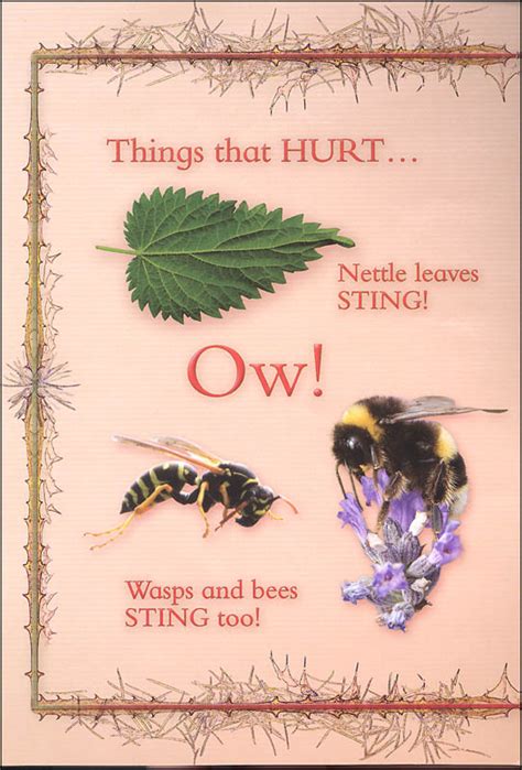 ABC Nature Activity Flashcards Fine Feather Press