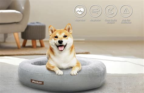 Our Tech Industrial Technology Research Institute Ces