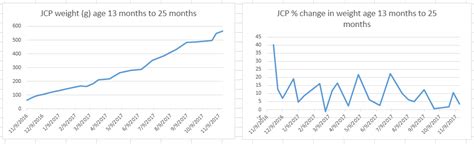 Carpet Python Growth Rate Rsnakes
