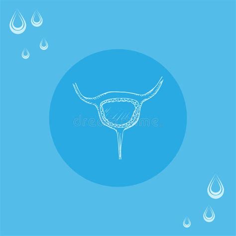 Hand Drawn Human Urinary Bladder Placed On The Colored Substrates Stock Illustration
