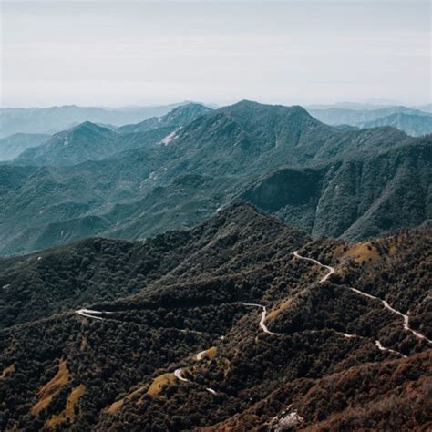 Stream Nelly Dilemma Nolan Van Lith Trap Remix By The Trap Brazil