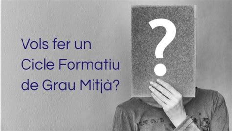 Cicles Formatius