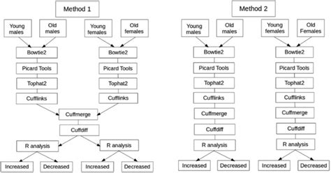 Cross Platform Analysis Of Transcriptomic Data Identifies Ageing Has Distinct And Opposite