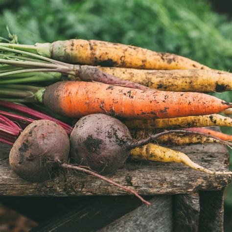 Root Veg Organity