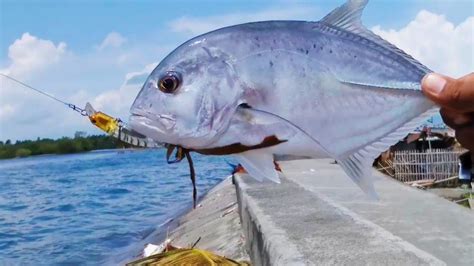 Multong Hipon Field Test Youtube