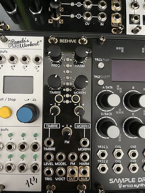 After Later Audio Beehive Mutable Plaits Clone Reverb