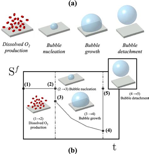 A Bubble Cycle Life Steps For A Given Mesh Element B Typical