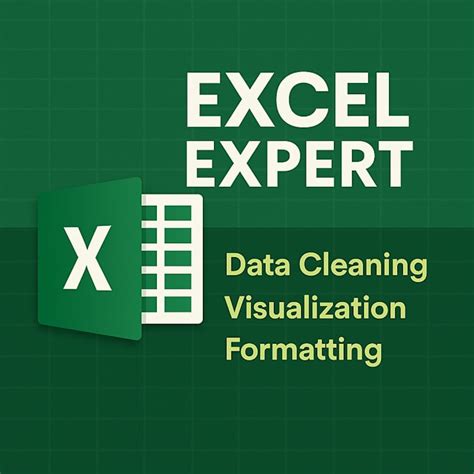 Do Data Cleaning Visualization And Formatting By Devexcelbot Fiverr
