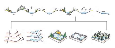 Strategy Of Sponge City Illustrated By The Author Download Scientific Diagram
