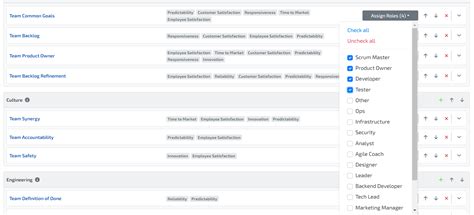 role assignments for custom capability template lean agile intelligence