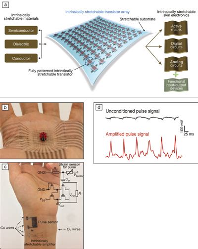Stretchable Organic Electronics On Skin Monitors Health