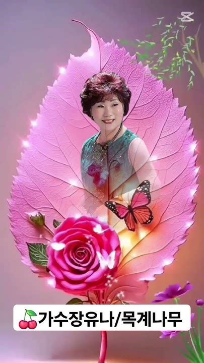 🍒원곡김용임 Youtube