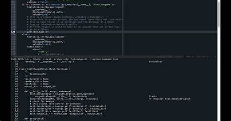 Pudbvim Dev Testing For Pudb Embedded In Terminal Split Album On Imgur