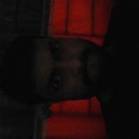 Low Light Dataset Object Detection Dataset And Pre Trained Model By Emotiscore