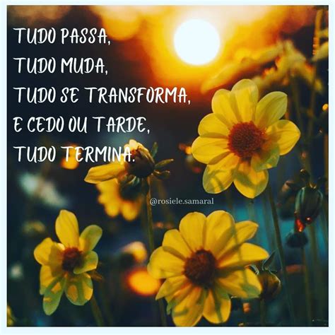 Tudo Passa Tudo Muda Tudo Se Transforma E Cedo Ou Tarde Tudo Termina