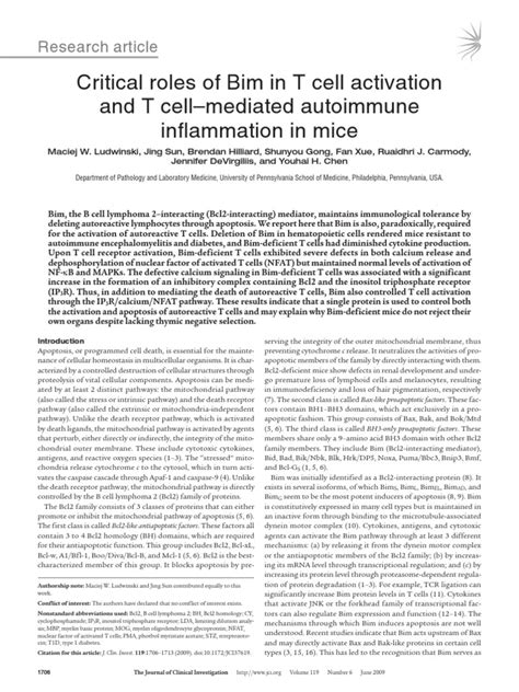 Pdf Critical Roles Of Bim In T Cell Activation Copypdf Dokumentips
